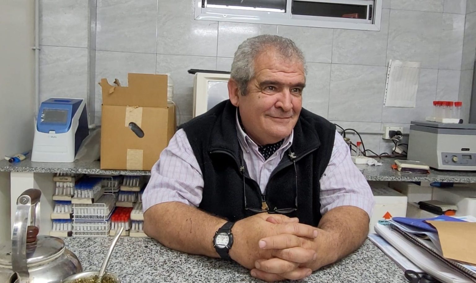 Fases del Celo en las perras: "Hay un período entre 48 y 72 horas, que ...